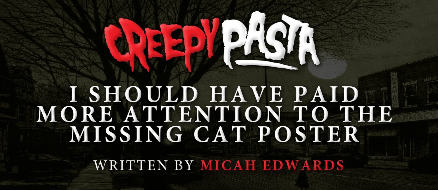 I Should Have Paid More Attention to the "Missing Cat" Poster - Creepypasta